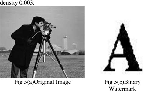 figure 1 from parallelization of digital image watermarking in the
