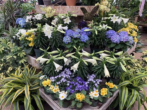 I Love Easter And Passover T Plants