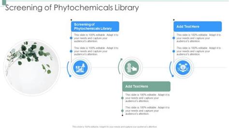 Library Screening Powerpoint Presentation And Slides Ppt Example