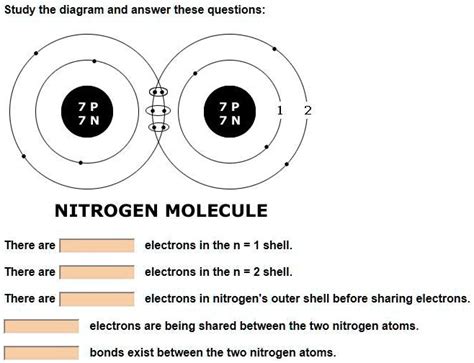 Solved Help Quick Study The Diagram And Answer These Questions