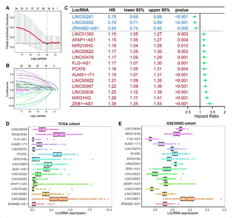 Construction Of The Prognostic Signature Irlncsig A Feature