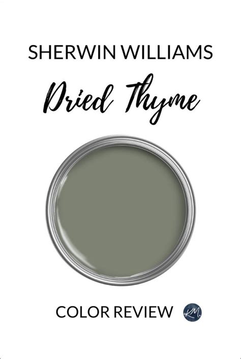Sherwin Williams Knitting Needles Paint Color Review