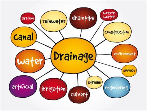 Drainage Mind Map Concept For Presentations And Reports Stock