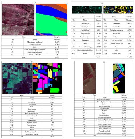 Remote Sensing | Free Full-Text | Hyperspectral Image Classification Based on Double-Branch ...