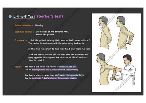 Shoulder Special Tests Guide Diagnosis Pptx
