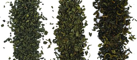 Gunpowder Tea Benefits | Kent Tea & Coffee Co