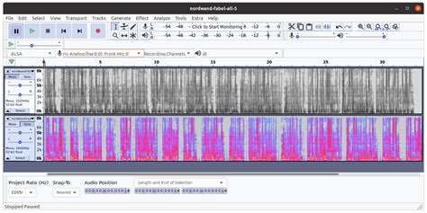audacity spectrogram internet with a brain