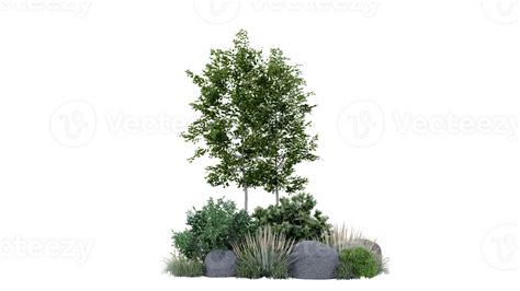 Vegetation Nature Plant Green Natural Environment Foliage Background 3d