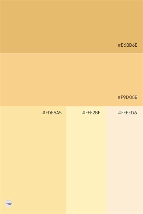 Sand Beige Color Palette For Art Projects