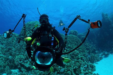 10 Simple Tips To Improve Your Underwater Photos Scuba Diving Buzz