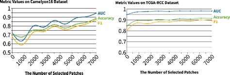 Figure 1 From Diagnose Like A Pathologist Transformer Enabled
