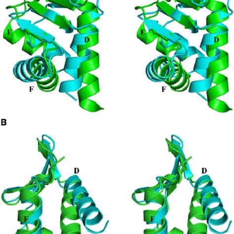 Superposition Of The Dna Binding Domains Of The Crp Ec And Crp Mt A Download Scientific