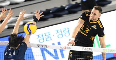 비예나빈틈으로 사진