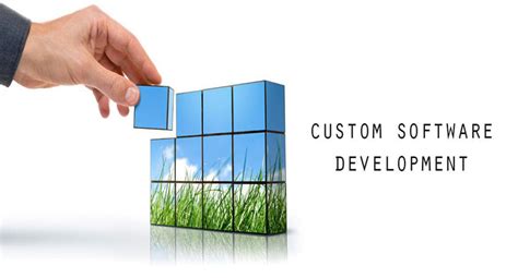 custom software development