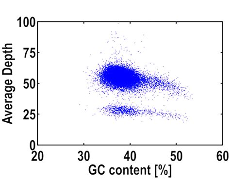Gc Content And Average Sequencing Depth Of The Genome Data Used For Download Scientific Diagram