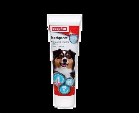 Buy Beaphar Double Action Toothpaste | IThinkPets.com