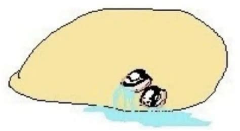 Silynx In The Forest On Tumblr