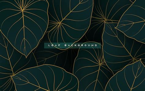 Premium Vector Tropical Dark Green Leaf Background Design With Gold Line Vector Ilustration