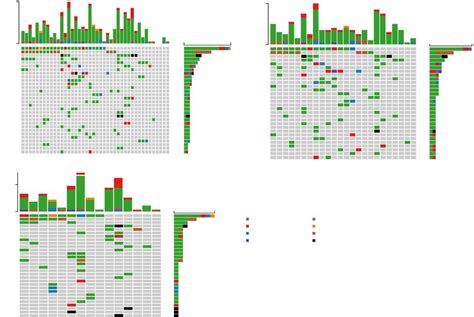 Differences In Mutation Profiles Of Tissue Dna And Ctdna A Oncoprint