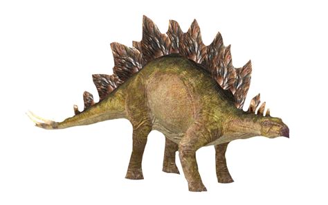 Stegosaurus By Dracoawesomeness On Deviantart