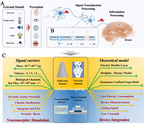 Nanofluidic Neuromorphic Iontronics A Nexus For Biological Signal
