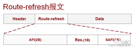 bgp→→ bgp撤销路由报文 csdn博客
