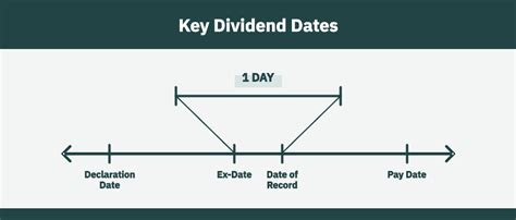 Liquidating Dividends Guide 2025 What They Mean For Investors