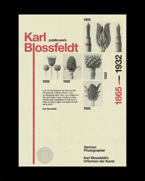 30 Best Visual Hierarchy Poster Design Ideas You Should Check