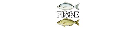 Fisse