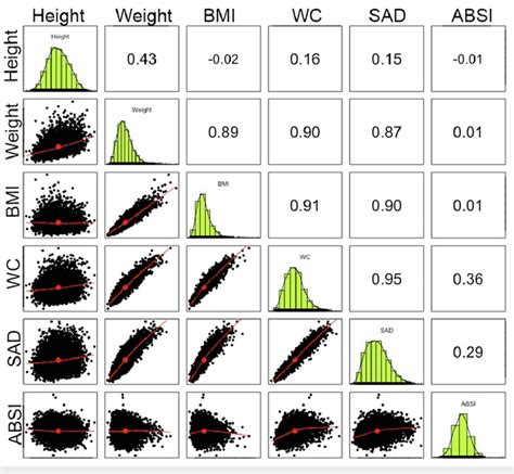 Correlation Of Anthropometric Measures Between Body Size And Shape Data