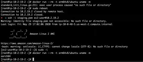 Running Linux On Arm Sale Running Linux On Arm Sale