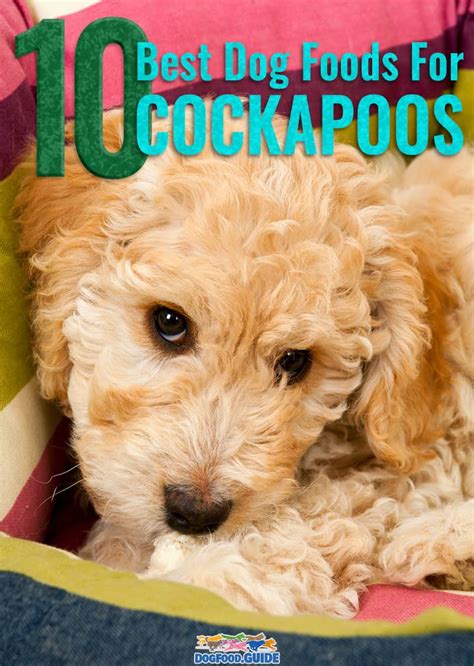 10 Best Dog Food For Cockapoo Top Picks For Your Fluffy Foodie