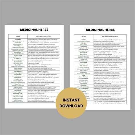 Medicinal Herb Guide Digital Download Herb Reference Guide Herb