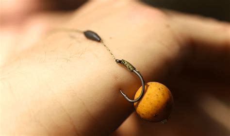 12 Best Carp Rigs How To Tie History And Diagrams Carp Squad