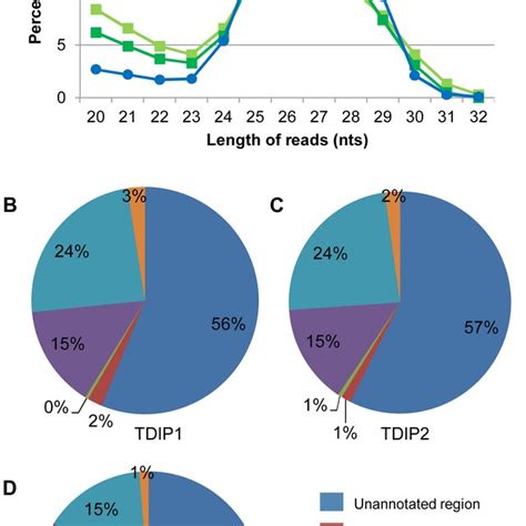 Analysis Of The Ngs Libraries A Size Distribution Of Sequences
