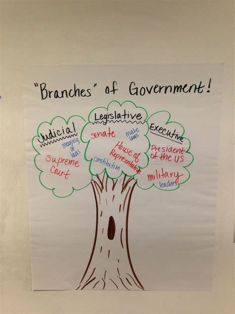 Branches Of Government Tree Activity At Therese Arnold Blog