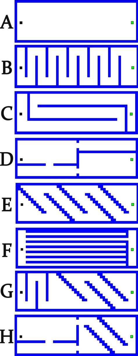 gridworld environments used for testing the agent starts at the state