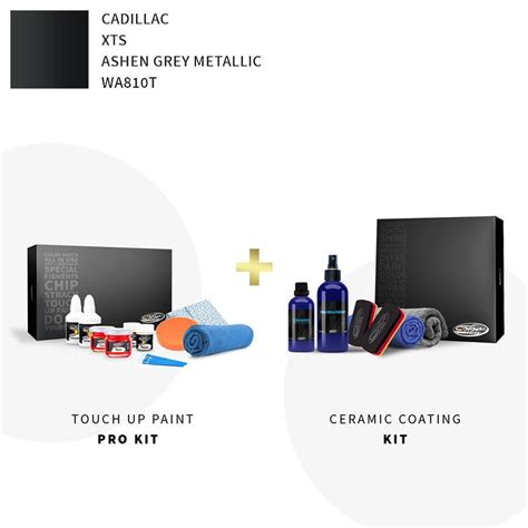 Cadillac XTS Ashen Grey Metallic WA T Touch Up Paint Kit Cadillac Touch Up Paint Color N Drive