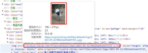 爬取站长图片（图片懒加载）爬取懒加载以及canvas Csdn博客