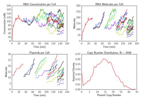 A Simulation Of Plasmid Replication And Transcription Over A Cell