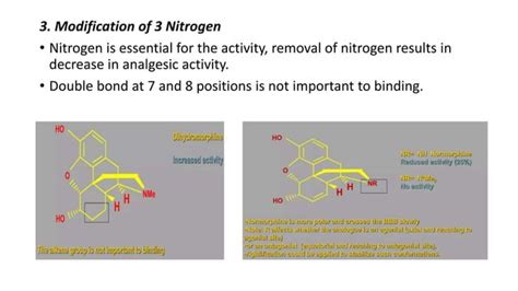 Morphine Synthesis Presentation1 Pptx