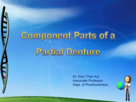 Component Parts Of A Partial Denture Ppt