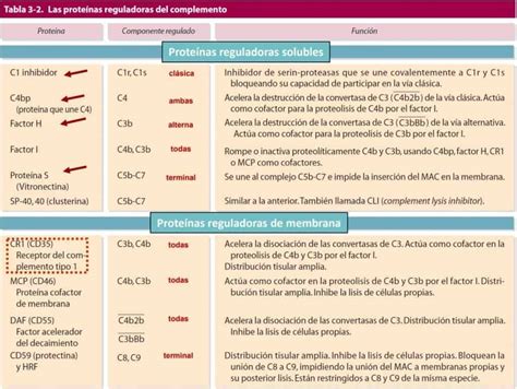 Proteínas Reguladoras Del Complemento Y Proceso De Regulación Ii 🔹paradigmia