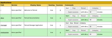 additional book exercises apache tomcat guessable credentials by