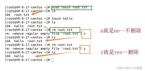 Linux基本操作入门2rm Ef Csdn博客