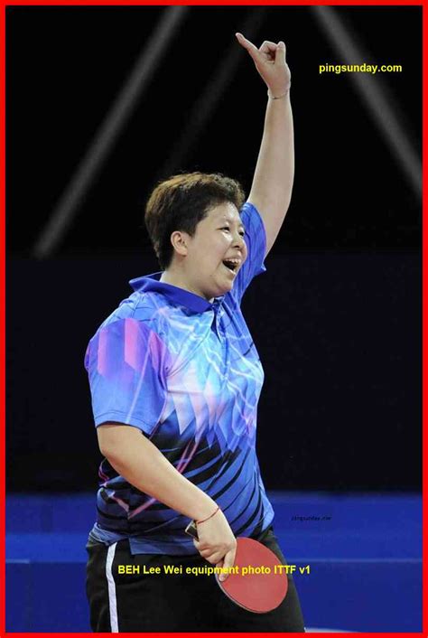 Beh 리웨이 장비 Pingsunday