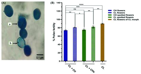 Pollen Fertility In The Three Morphs A Pollen Grains Using