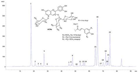 Nanoencapsulation Of Anthocyanins From Red Cabbage Brassica Oleracea L