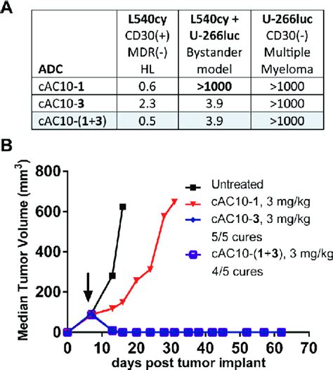 Dual Drug Adc Activity On In Vitro A And In Vivo B Models That Have Download Scientific