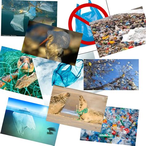 Can We Solve Plastic Pollution At Kiara Vaux Blog